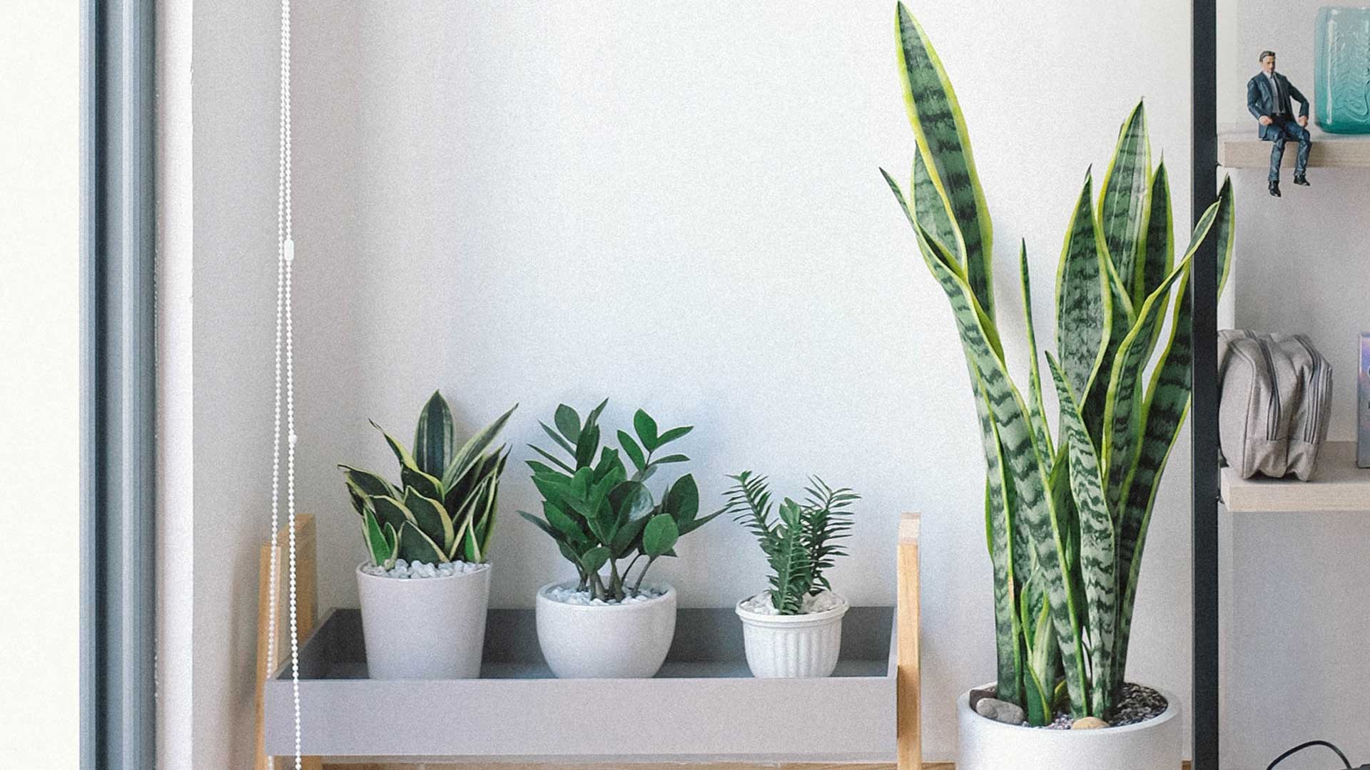 hero-section-bg – المالكي لاندسكيب – Almalky landscape