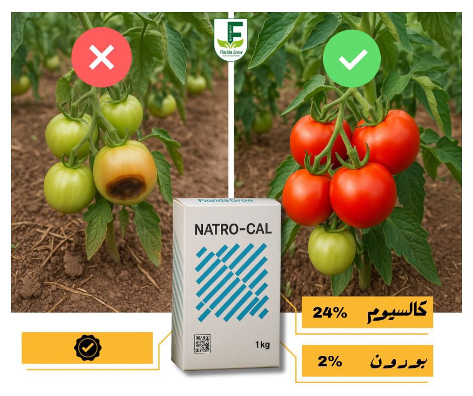 سماد كالسيوم بورون من فلوريدا 1 كجم - المالكي لاندسكيب - Almalky landscape
